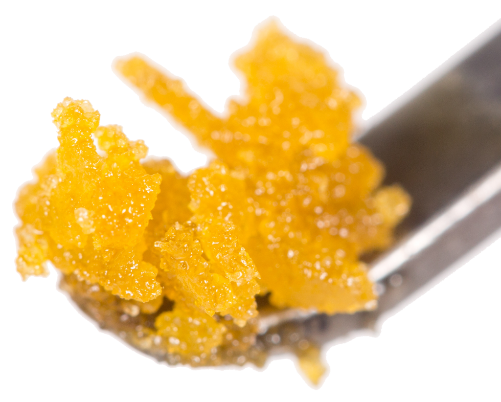 Solventless or Solvent-Based Extracts- What are You Dabbing? - Infinite ...